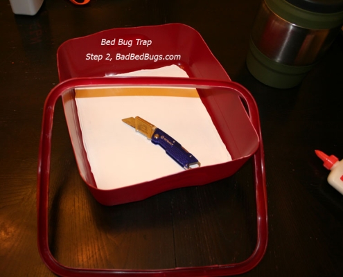 How to Make a Bed Bug Trap